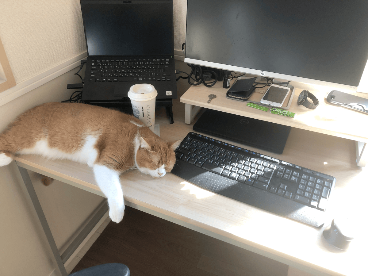 About Me / Profile | 仕事のあれこれ